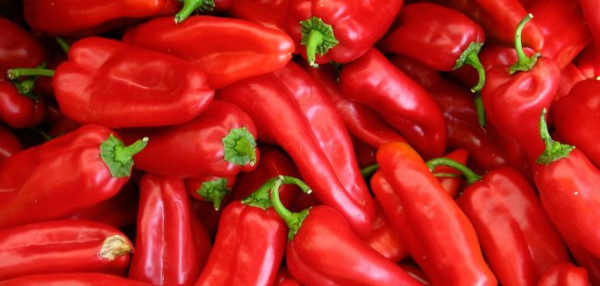 Zalivni sistemi u Drenovcu spasli ovogodišnji rod paprike od suše ...